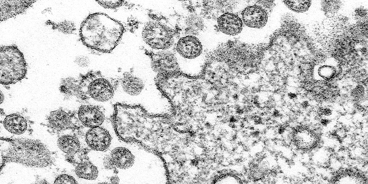 COVID-19: Resources for the Wall and Ceiling Industry - The Association ...